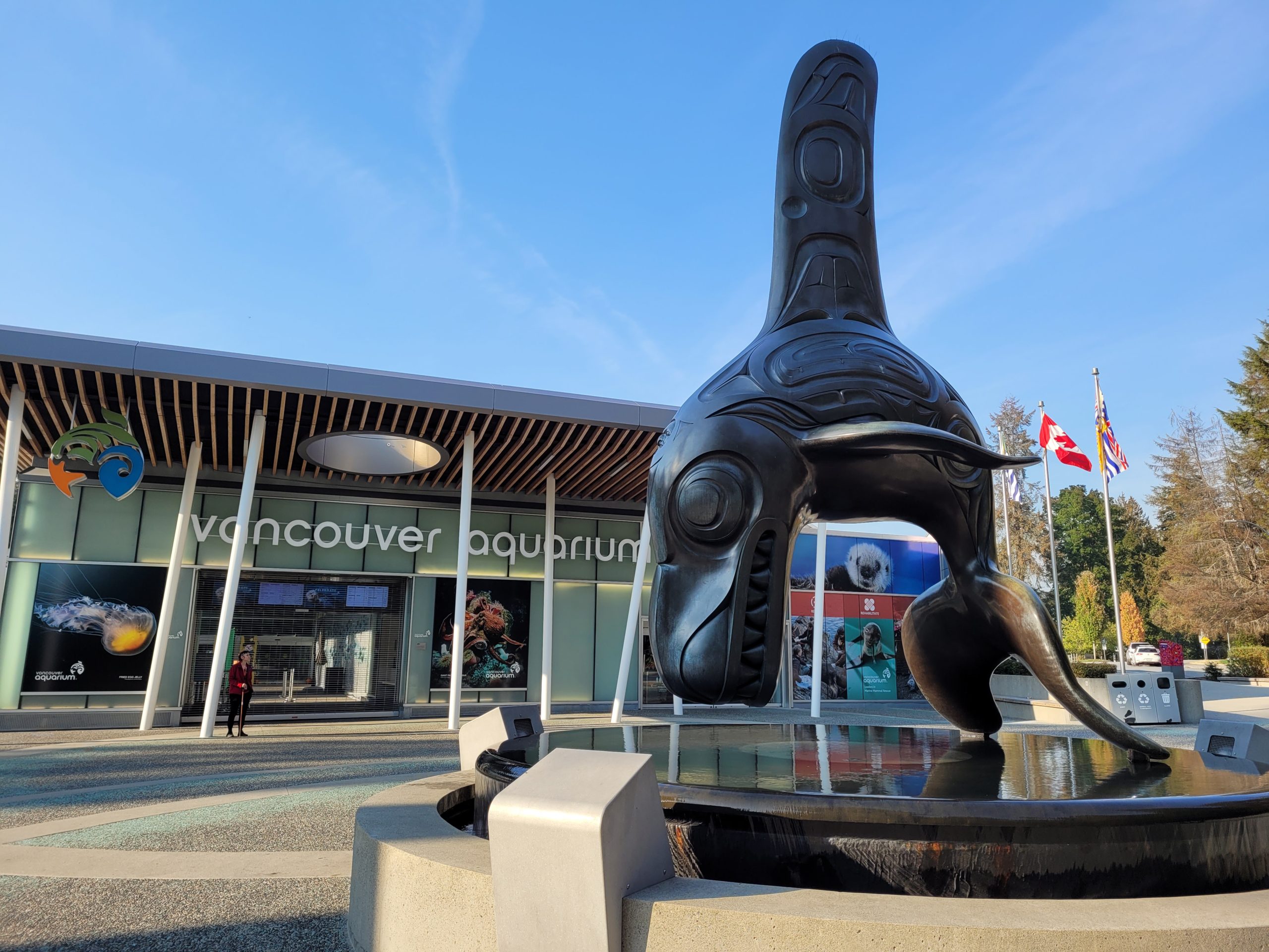 Vancouver Aquarium: Hours, Tickets & Conservation Efforts - Forever ...